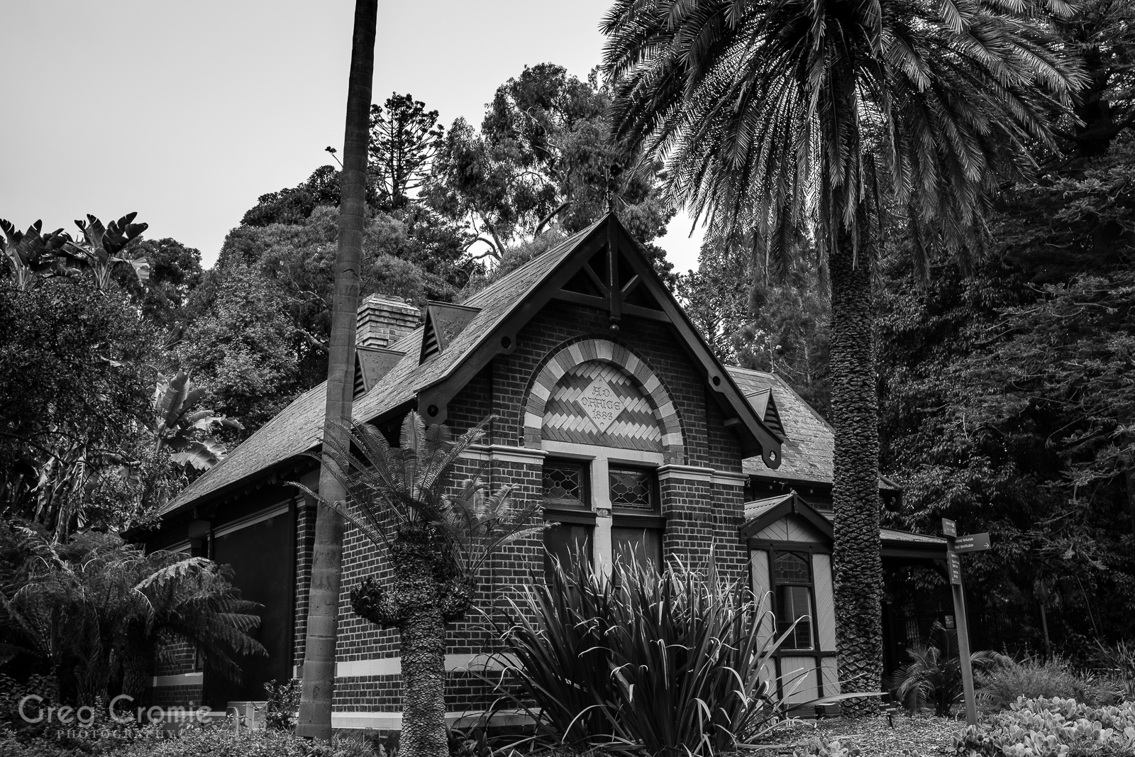 DSCF0789 | Greg Cromie Photography